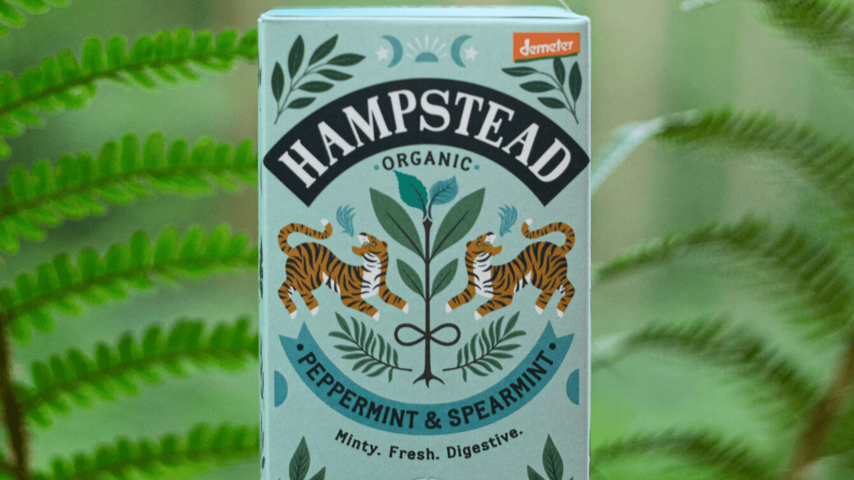 Peppermint and Spearmint Tea – why two mints are better than one ...